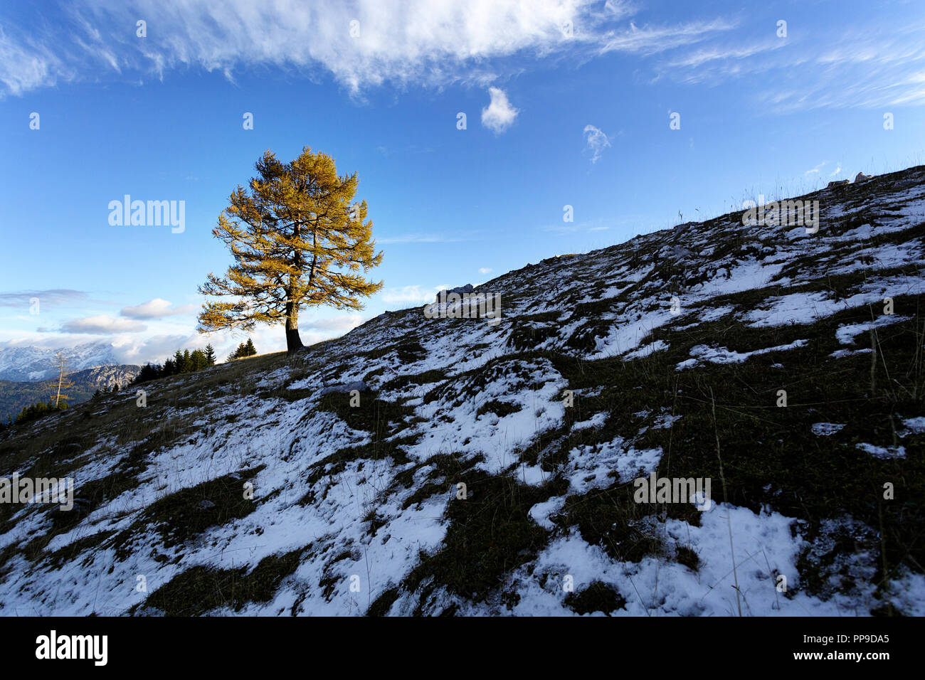 Female mountain wanderer hi-res stock photography and images - Alamy