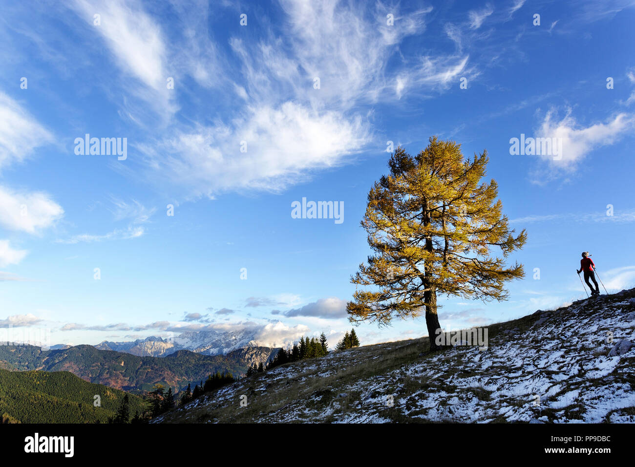 Pungrat hi-res stock photography and images - Alamy