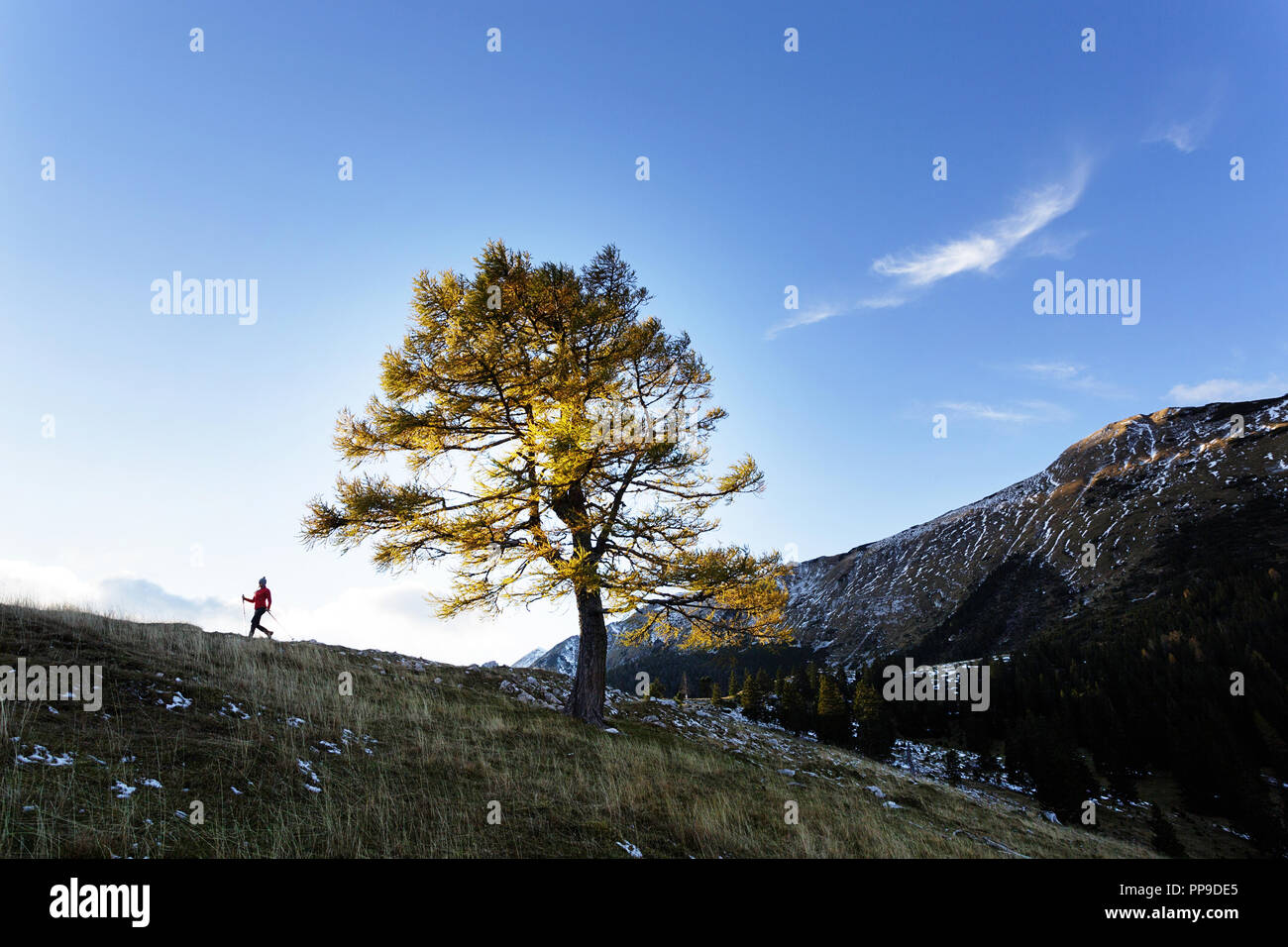 Female mountain wanderer hi-res stock photography and images - Alamy