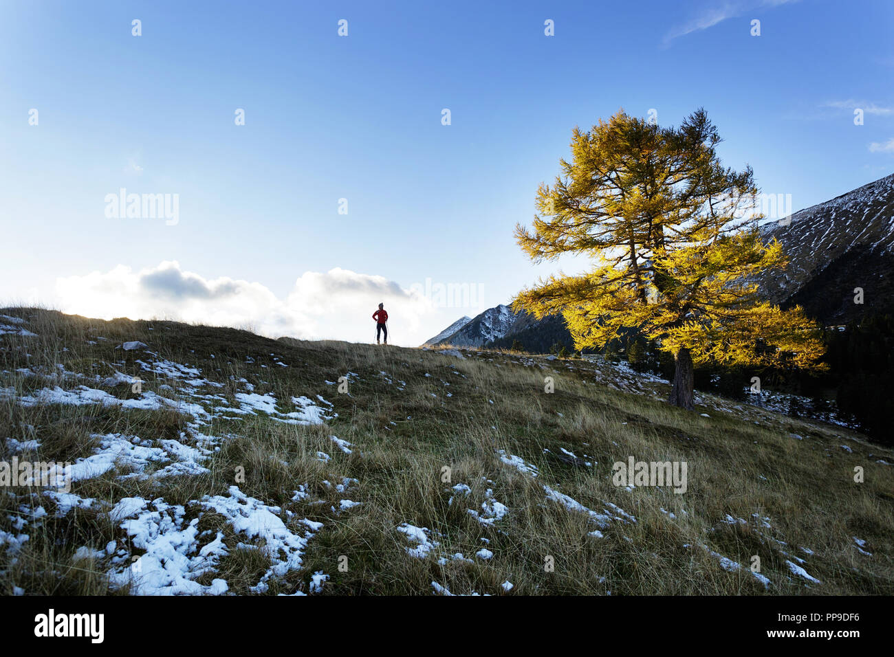 hiker on a mountain meadow Stock Photo - Alamy