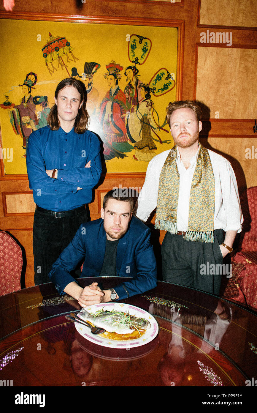 Denmark, Copenhagen - January 5, 2018. The Danish rock band The ...