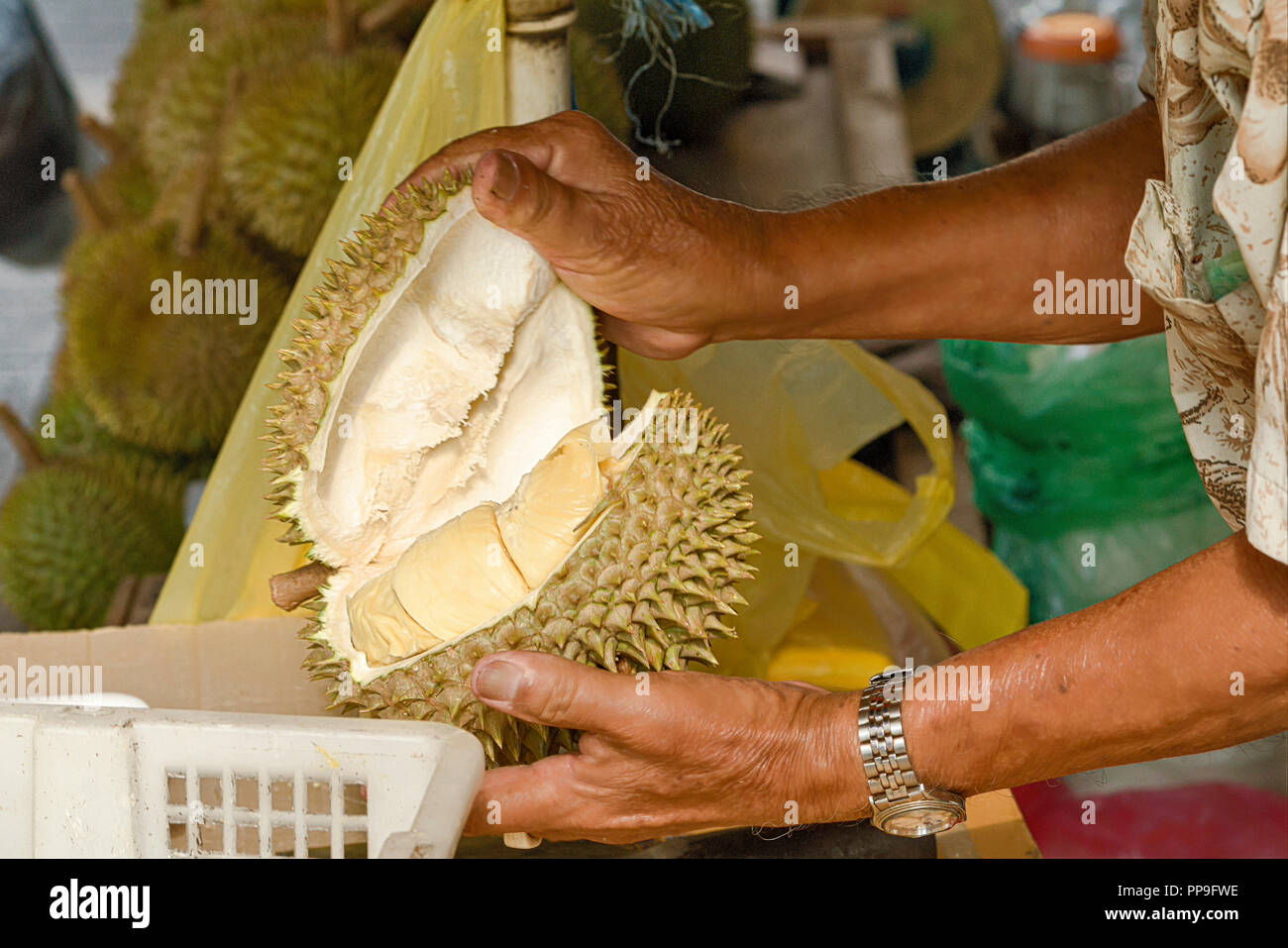Open Durian Stock Photos & Open Durian Stock Images - Alamy
