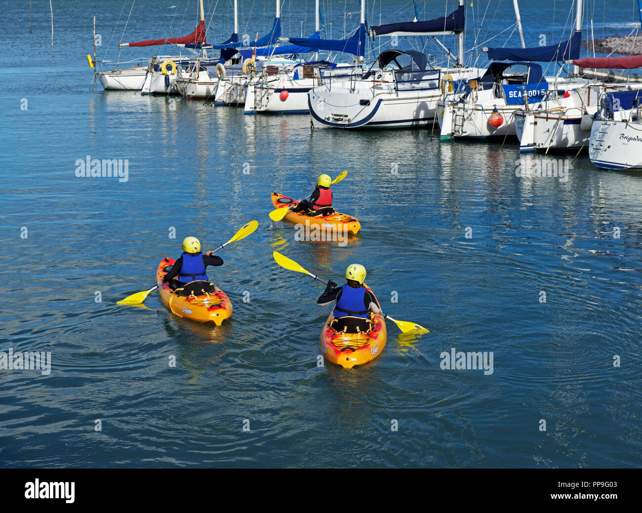 Kayaks at Porlock Weir, Somerset, England UK Stock Photo - Alamy