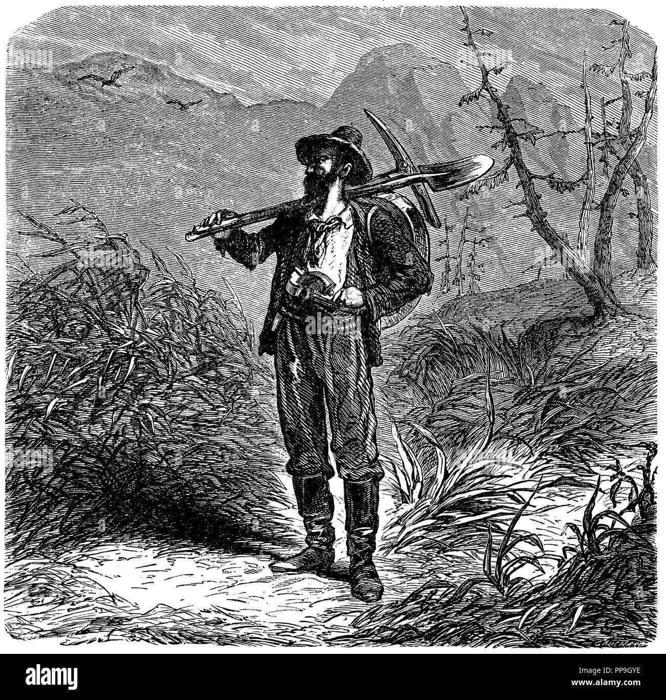 Historical gold digger hi-res stock photography and images - Alamy