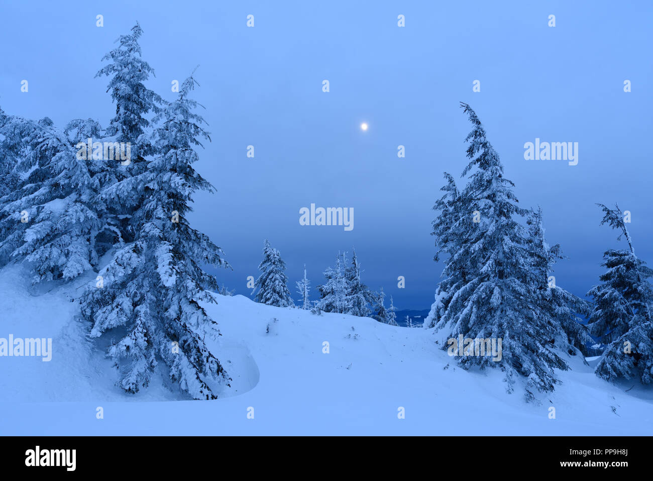 Moonlight Snowy Sunset