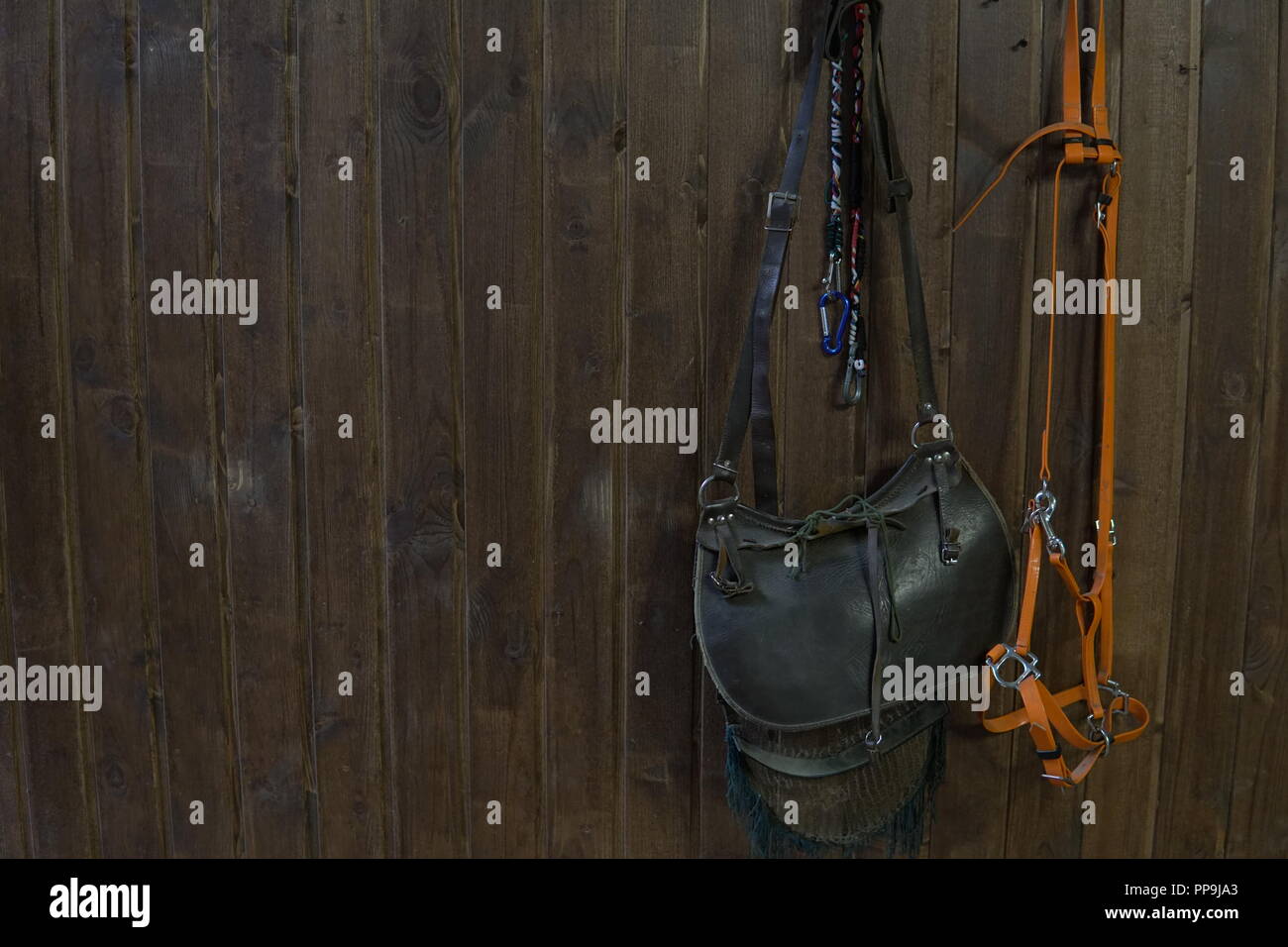 saddle horse reins on Brown wooden wall Stock Photo - Alamy