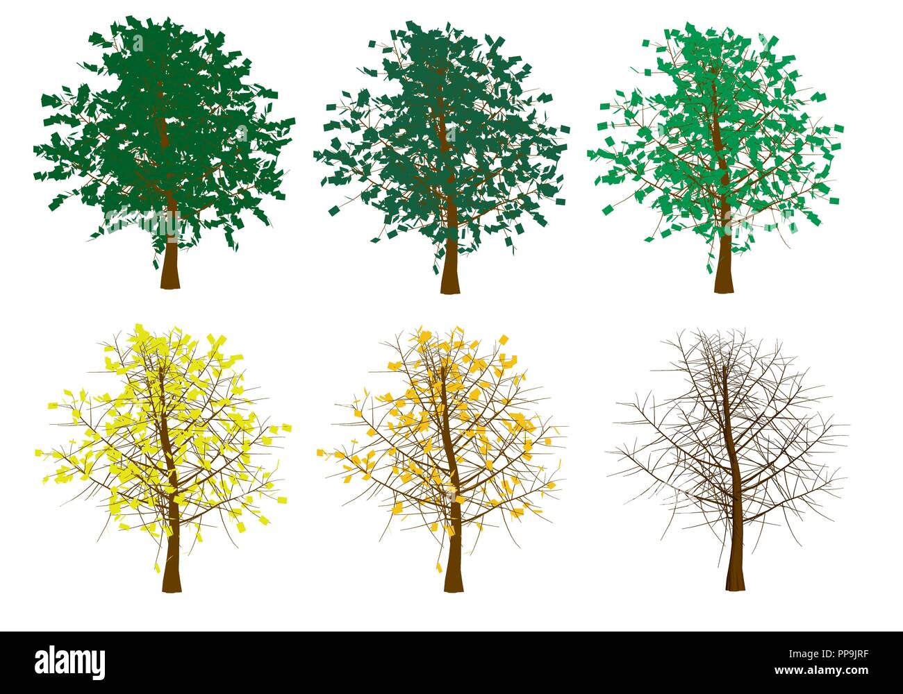Set with trees from summer to winter. Autumn trees with yellowed leaves ...