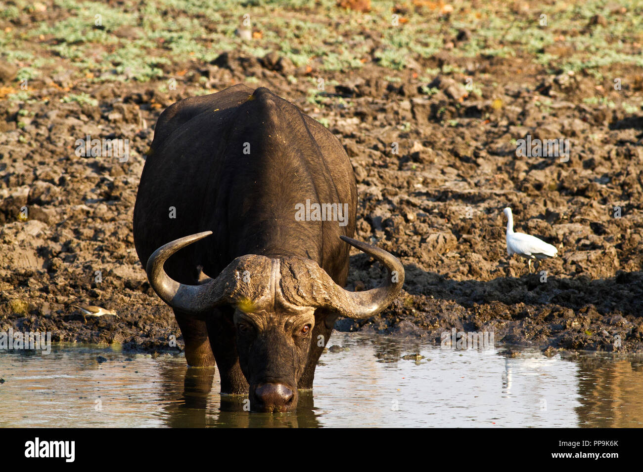 Wild well control hi-res stock photography and images - Alamy