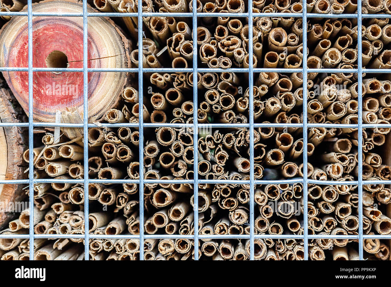 Close-up part of craft hotel or house for wild bees and other insect ...