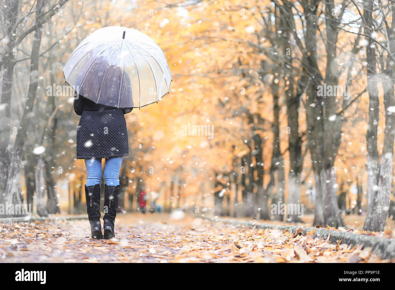 A girl in the park in the first snowfall Stock Photo - Alamy