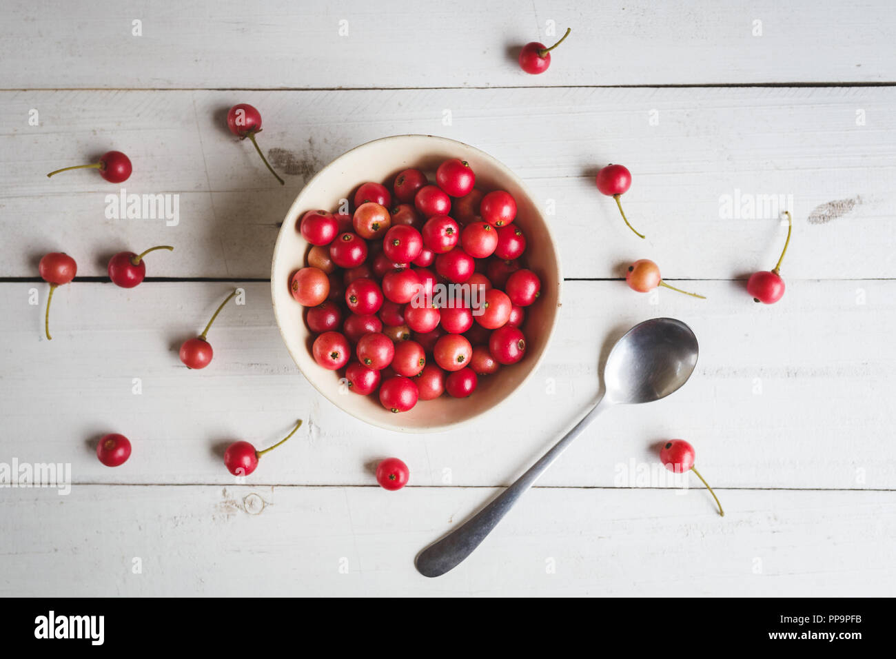 Panama Berry fruits Stock Photo - Alamy