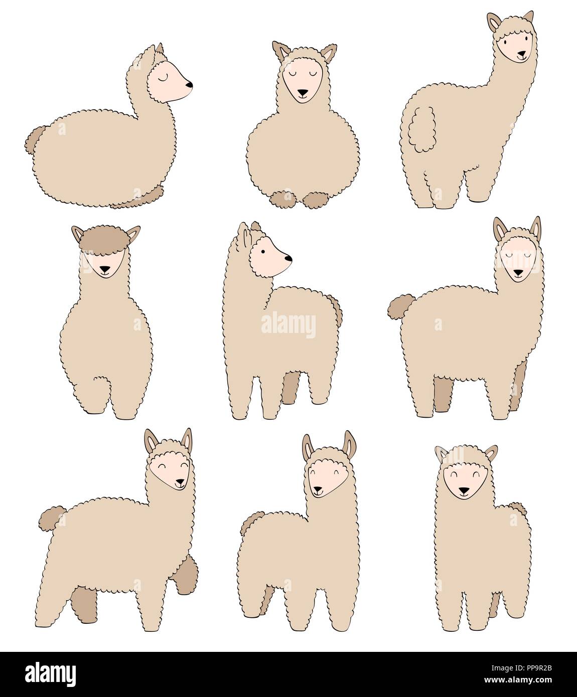 Lama Cut Out Stock Images & Pictures - Alamy