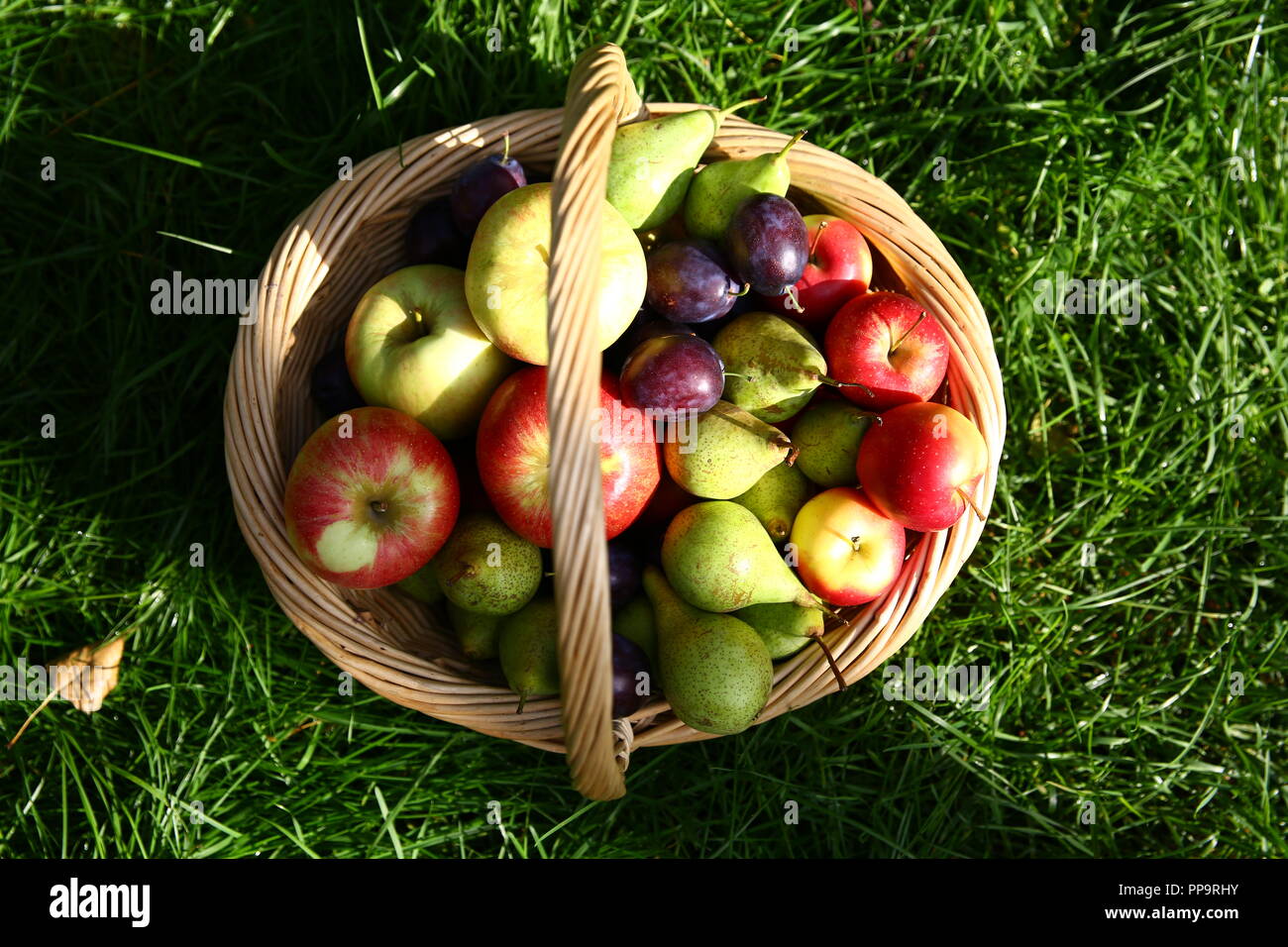 Food: Basket of ripe fruits Stock Photo - Alamy