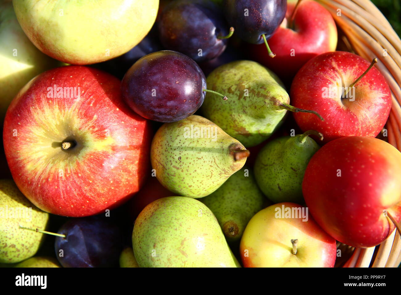 Food: Basket of ripe fruits Stock Photo - Alamy