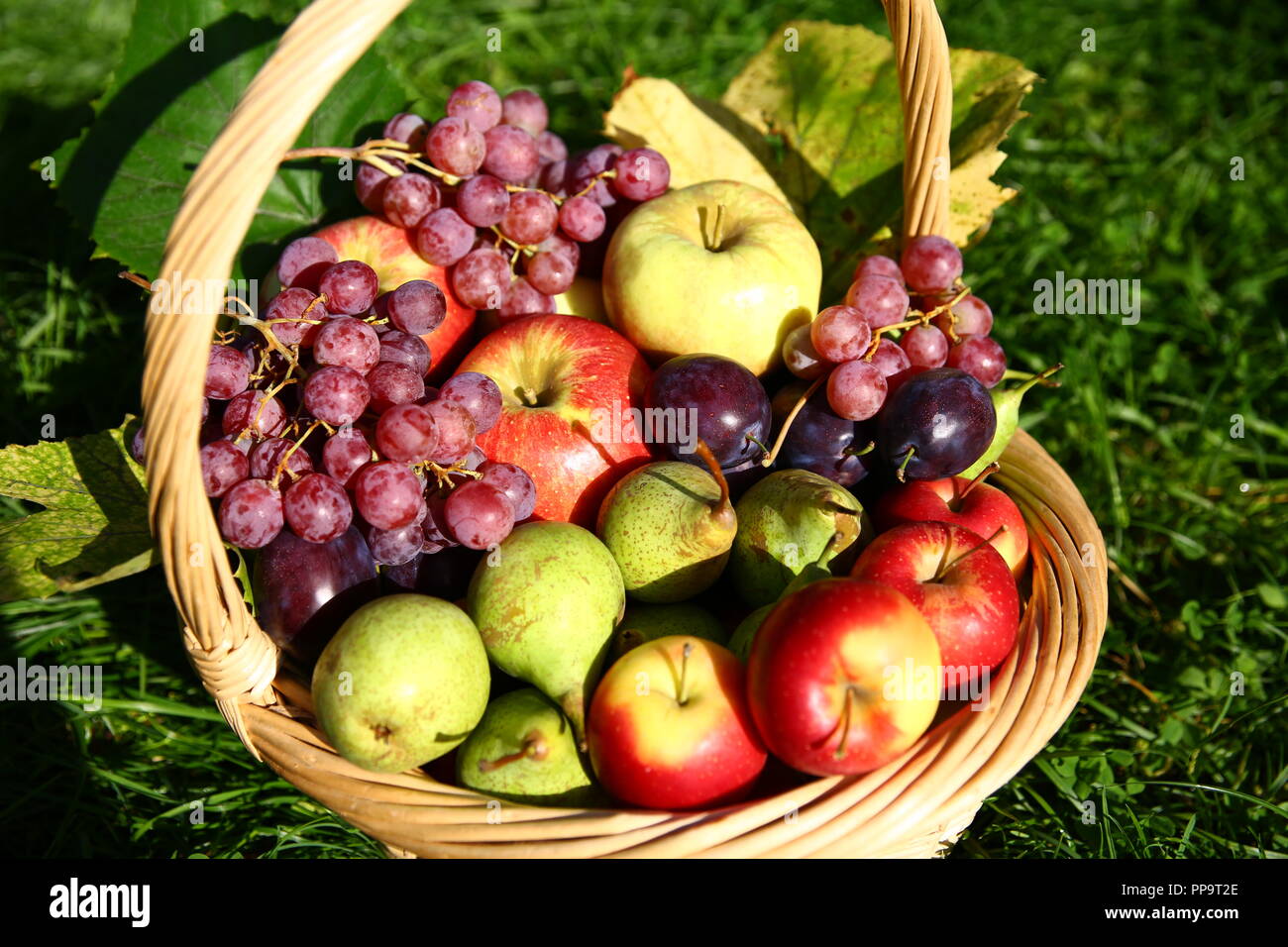 Food: Basket of ripe fruits Stock Photo - Alamy