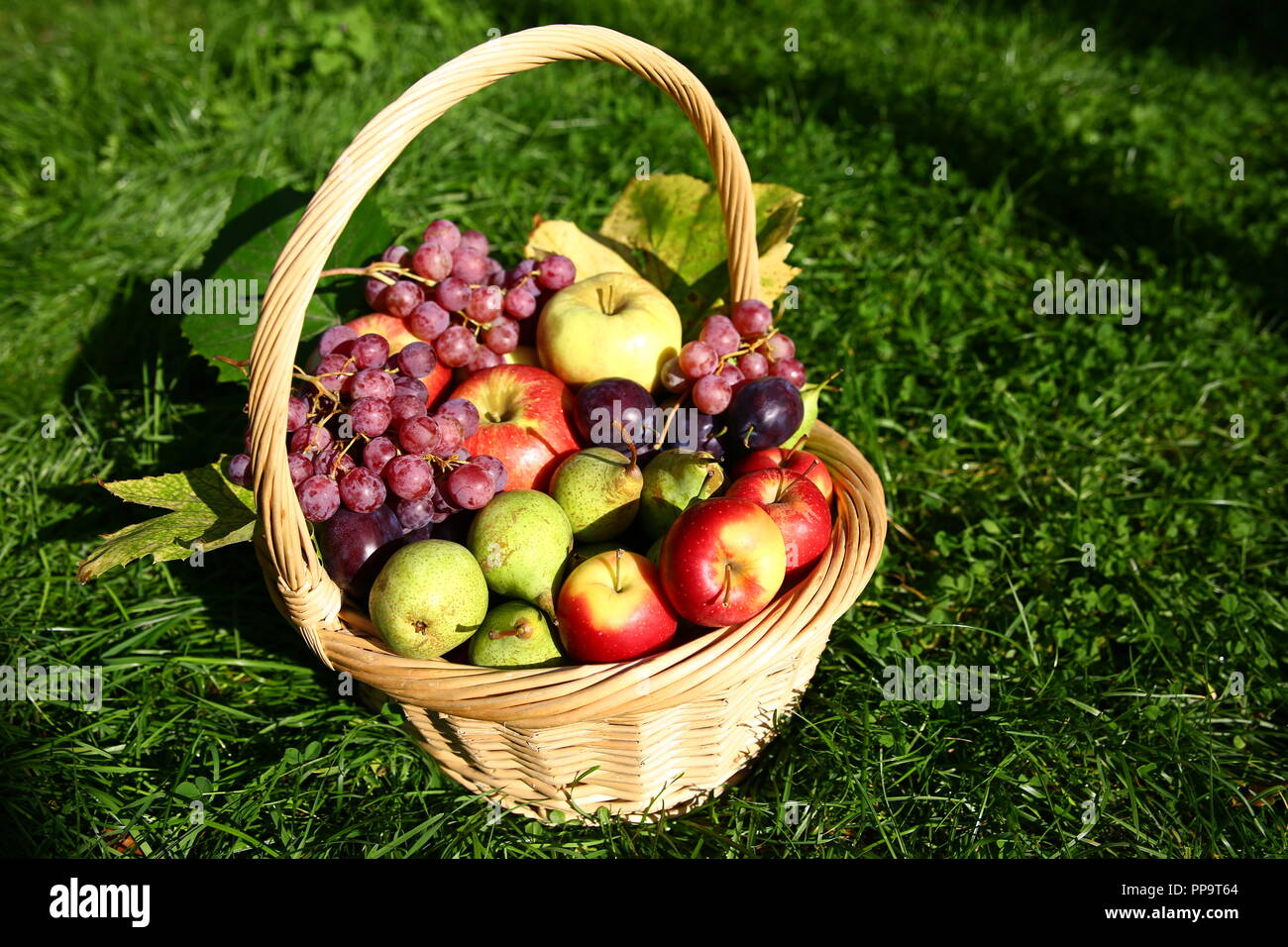 Food: Basket of ripe fruits Stock Photo - Alamy