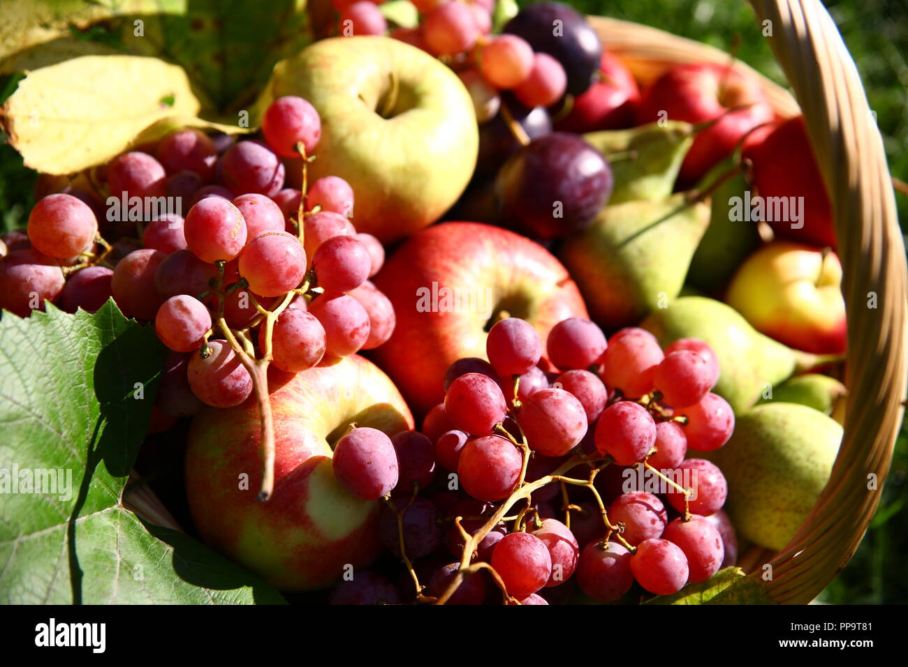 Food: Basket of ripe fruits Stock Photo - Alamy