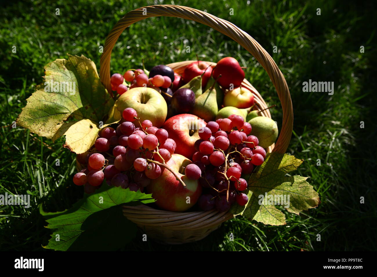Food: Basket of ripe fruits Stock Photo - Alamy