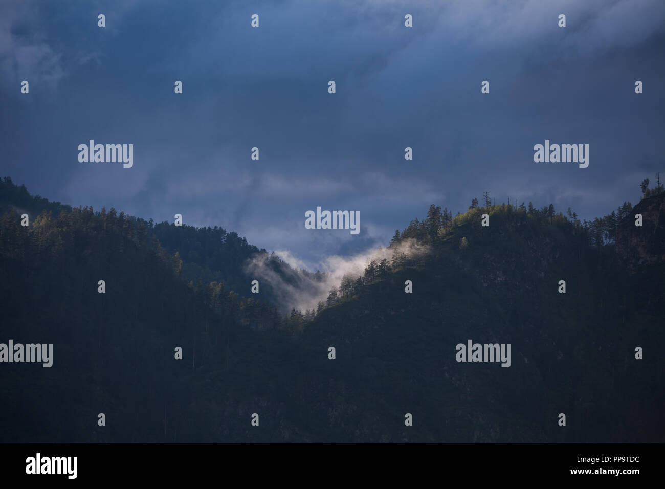Morning myst hi-res stock photography and images - Alamy