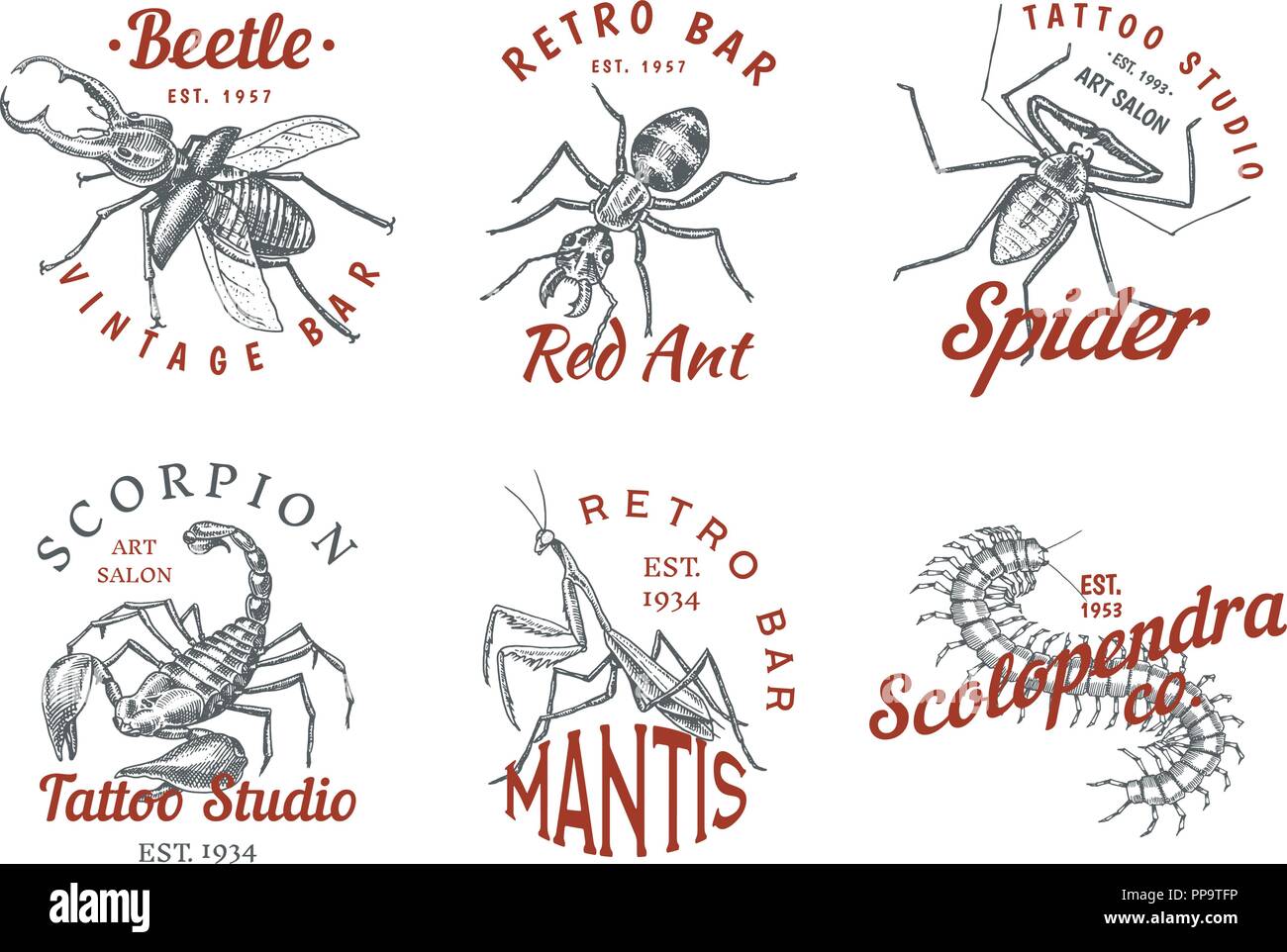 Set of insects logos. Vintage Pets labels for bar or tattoo studio ...