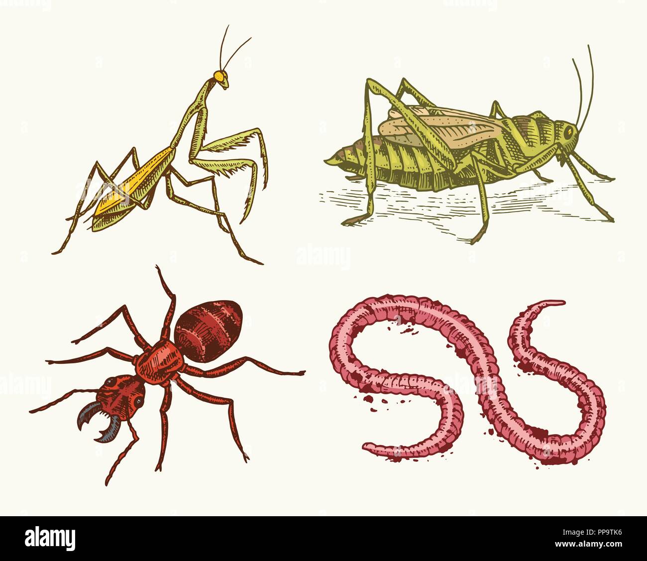 House fly in hand hi-res stock photography and images - Alamy