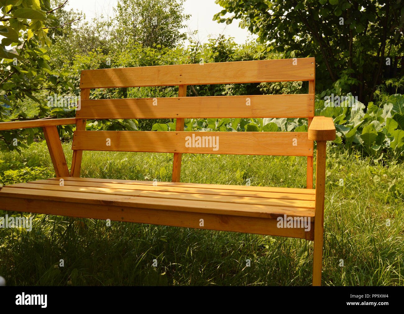 Wooden bench in summer garden for patio design, natural wood furniture ...