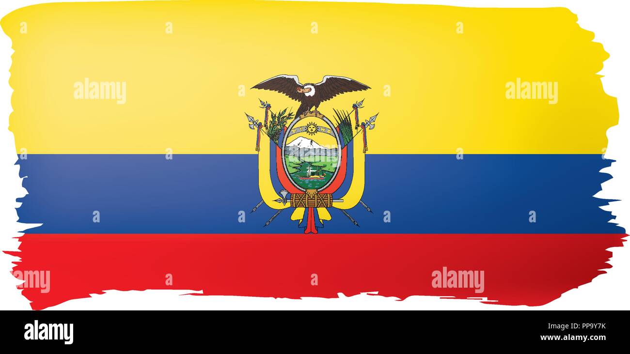 Ecuador flag, vector illustration on a white background Stock Vector ...