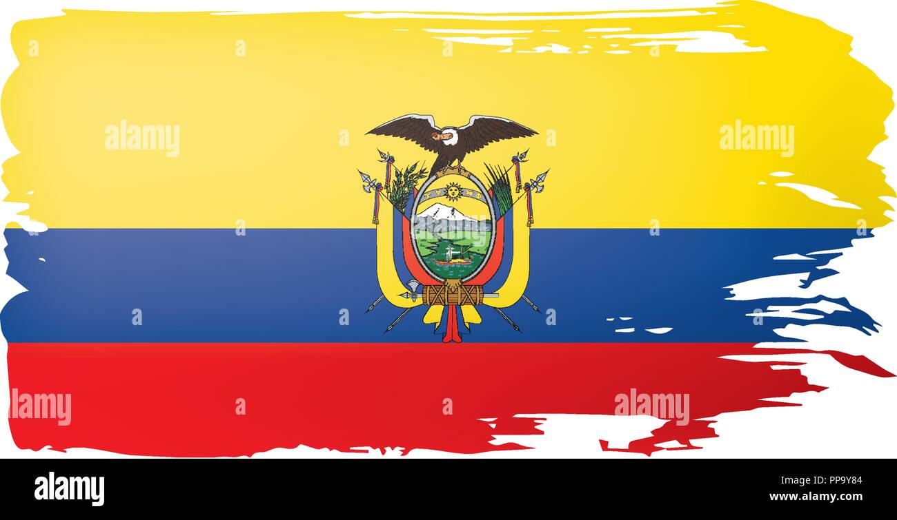 Ecuador flag, vector illustration on a white background Stock Vector ...