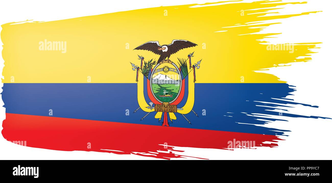 Ecuador flag, vector illustration on a white background Stock Vector ...