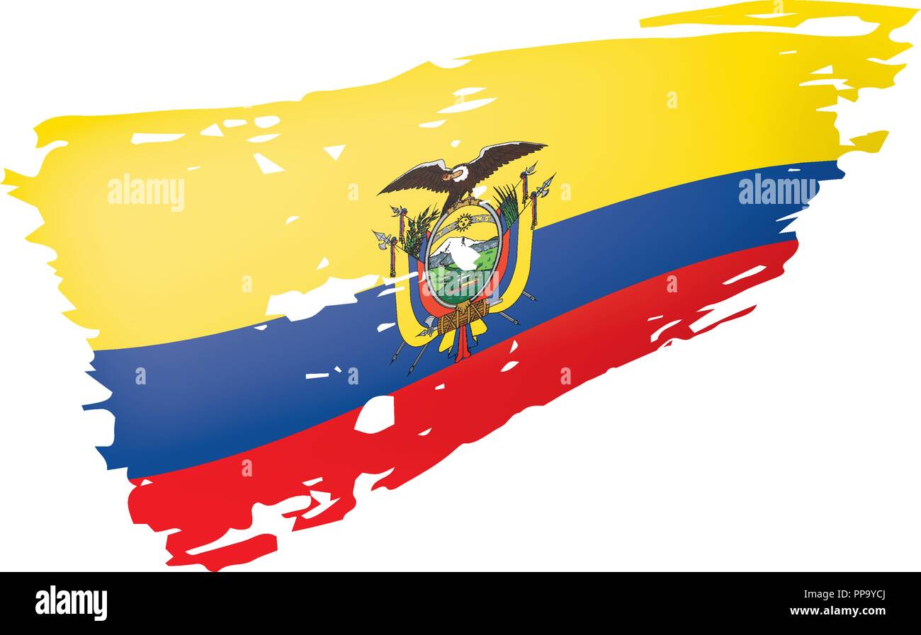 Ecuador flag, vector illustration on a white background Stock Vector ...