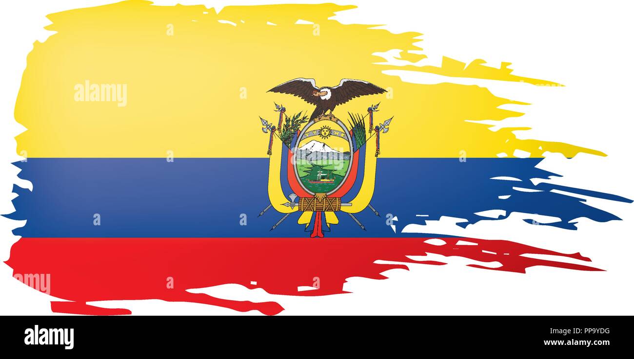 Ecuador flag, vector illustration on a white background Stock Vector ...