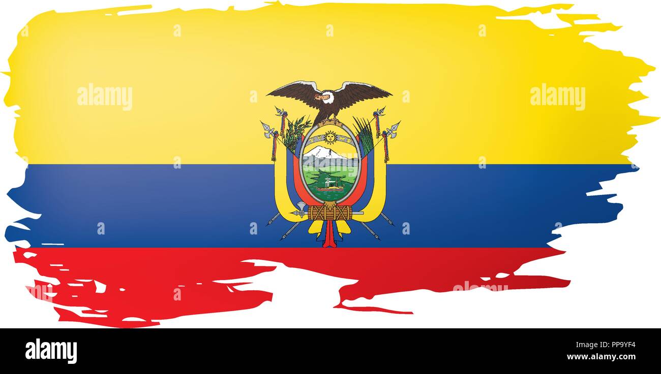 Ecuador flag, vector illustration on a white background Stock Vector ...