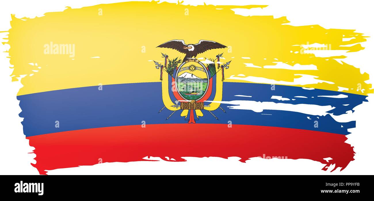 Ecuador flag, vector illustration on a white background Stock Vector ...