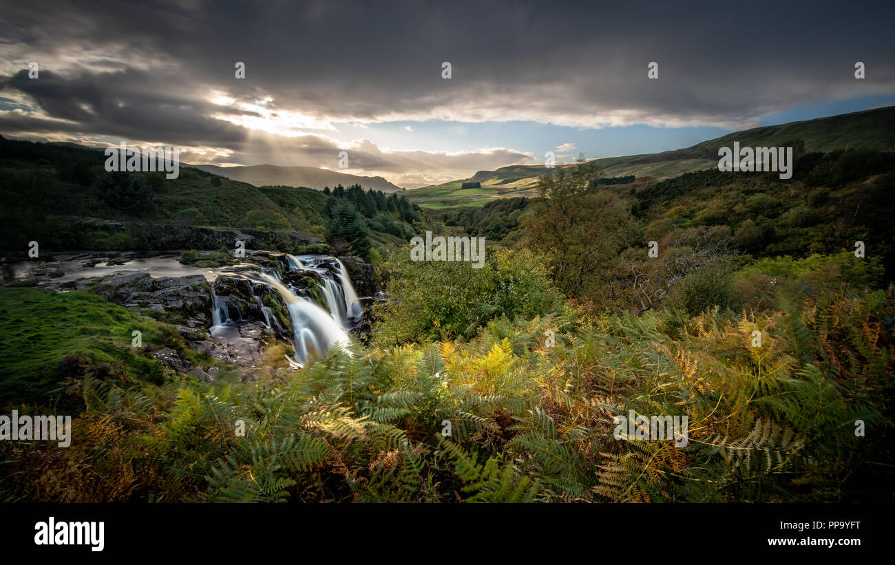 Fintry Scotland High Resolution Stock Photography and Images - Alamy