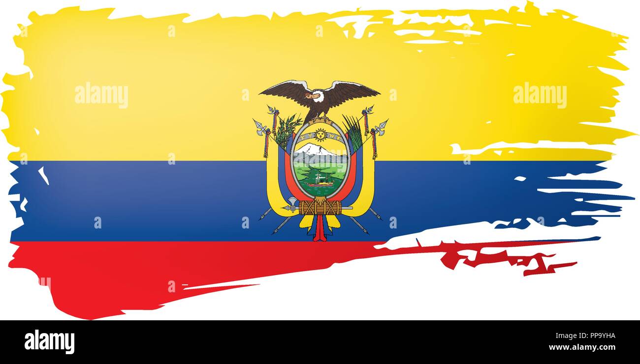 Ecuador flag, vector illustration on a white background Stock Vector ...