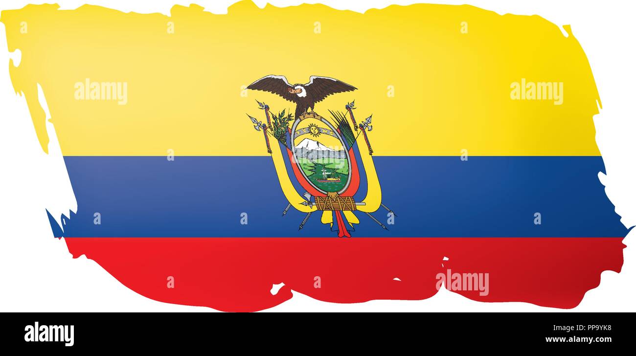Ecuador flag, vector illustration on a white background Stock Vector ...