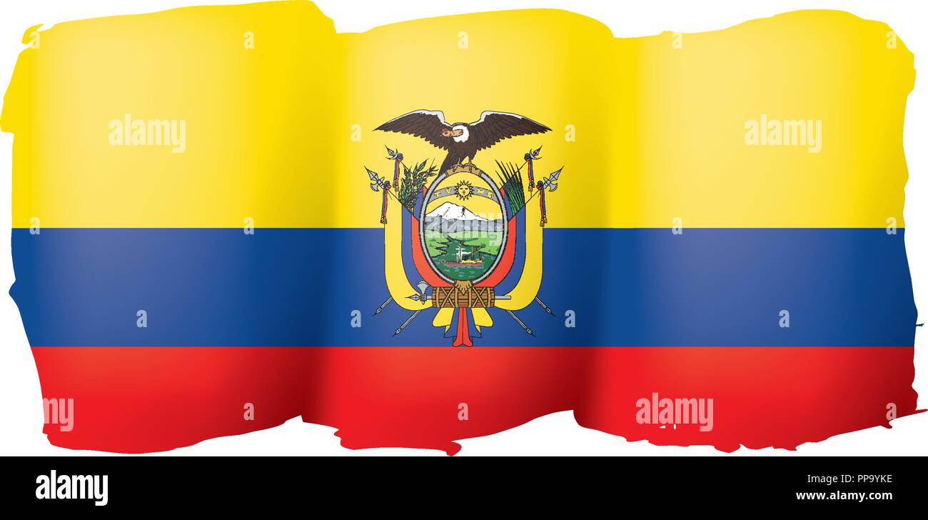 Ecuador flag, vector illustration on a white background Stock Vector ...