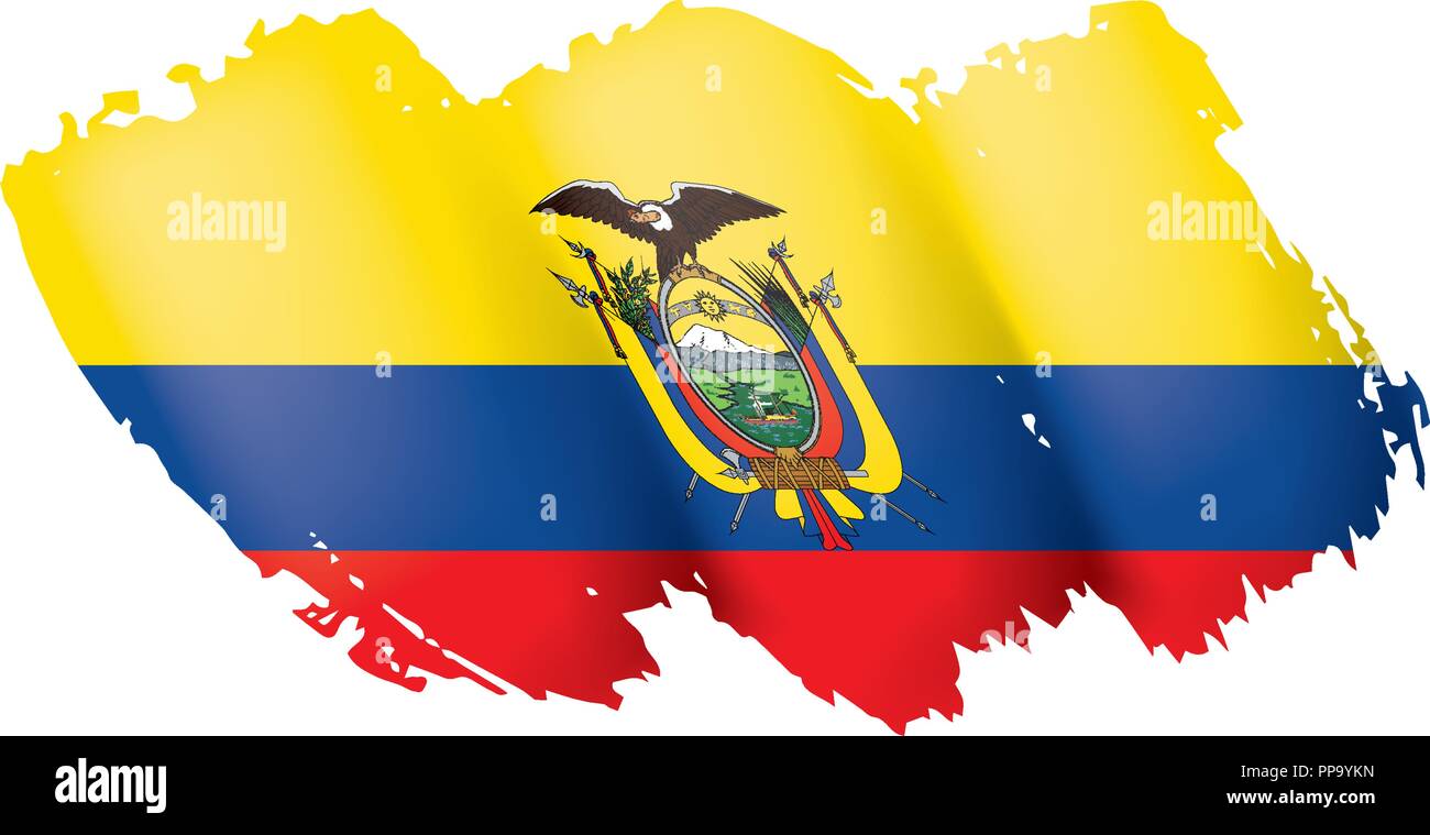 Ecuador flag, vector illustration on a white background Stock Vector ...