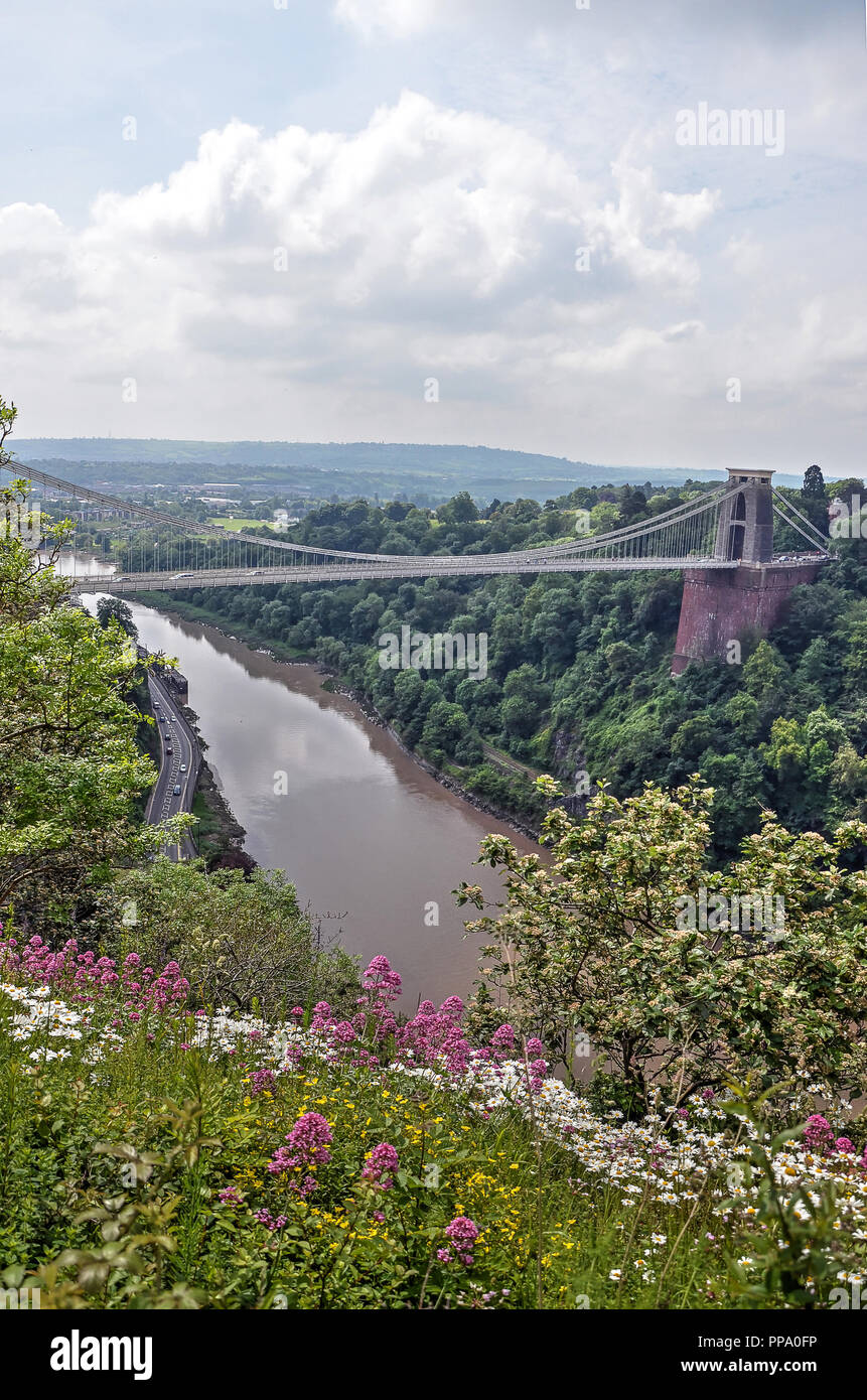 Bristol, England, June 1, 2014: view from a slope with wildflowers ...