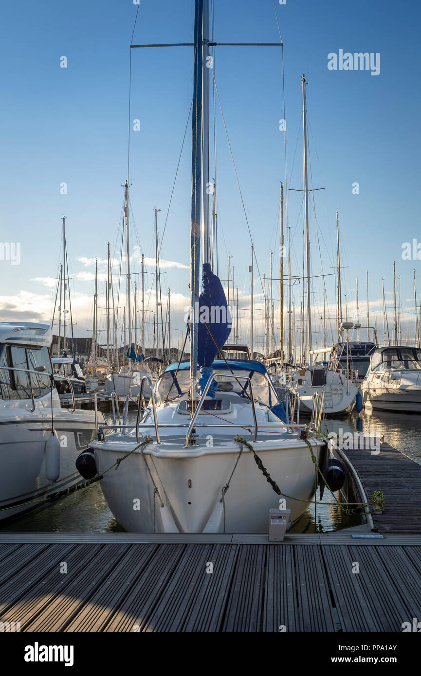 sailing yacht moored in a marina Stock Photo - Alamy