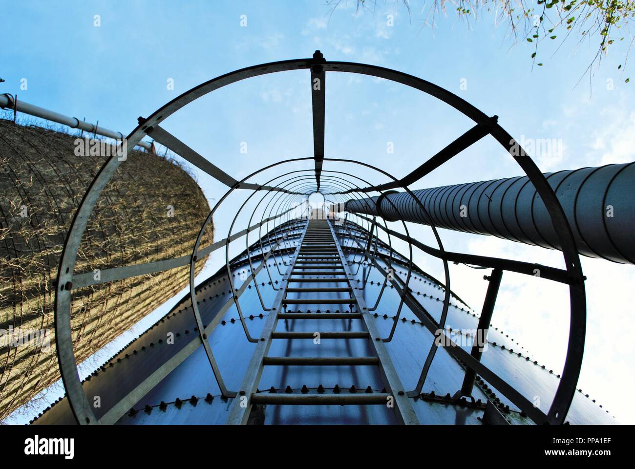 ladder up the side of a silo Stock Photo - Alamy