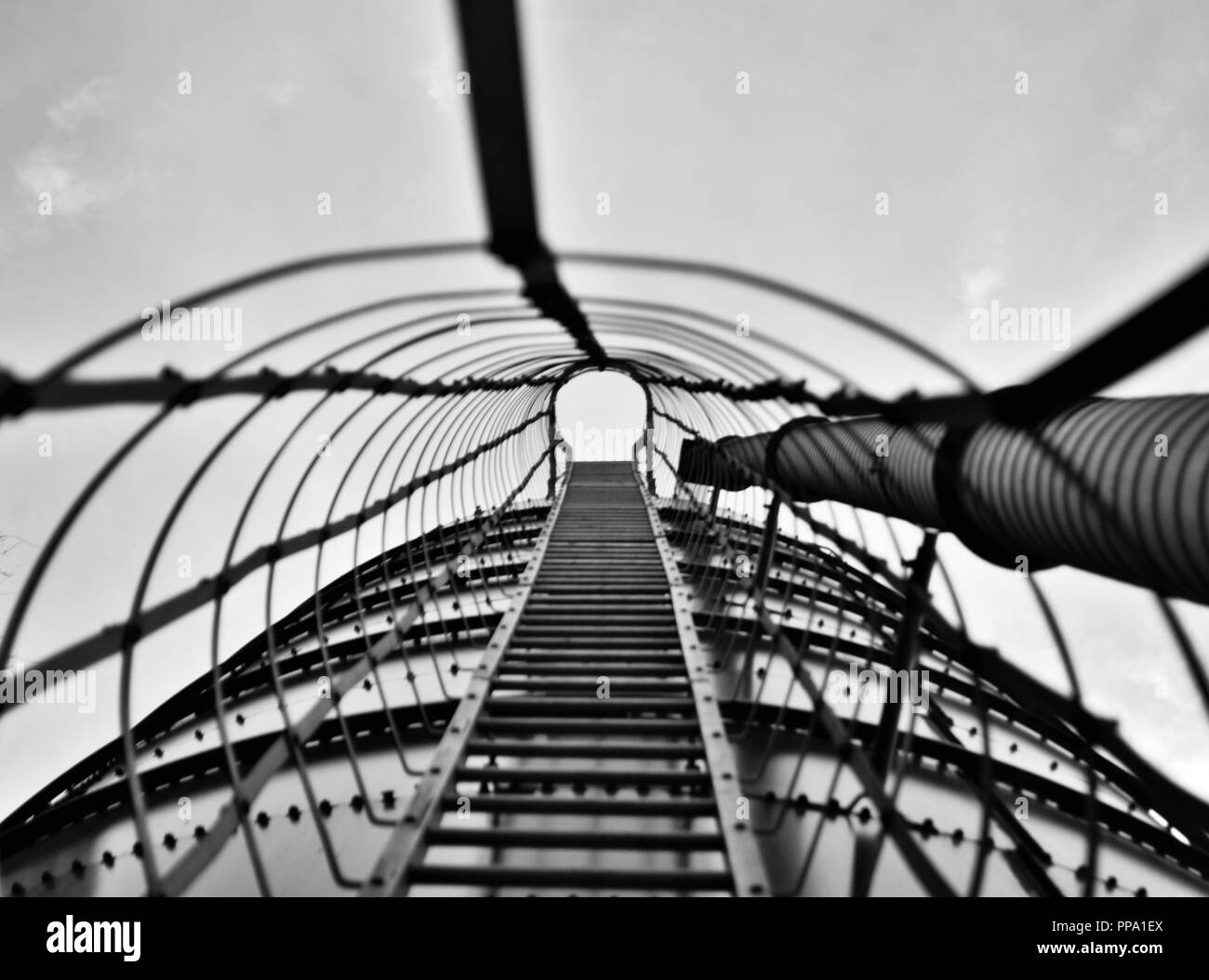 Business silo Black and White Stock Photos & Images - Alamy