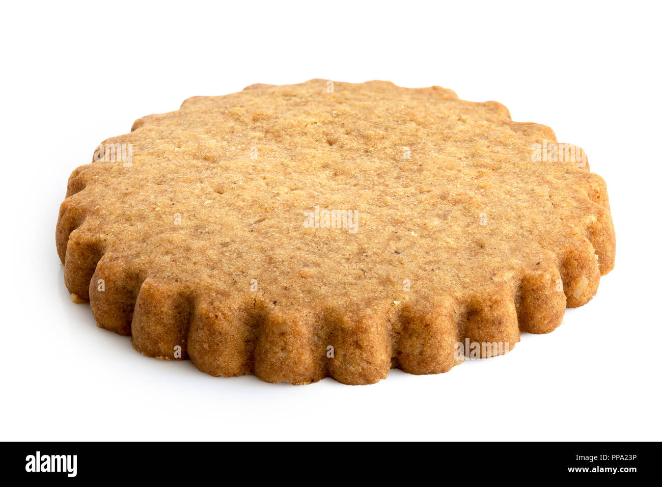 Single round gingerbread biscuit isolated on white. Serrated edge Stock ...
