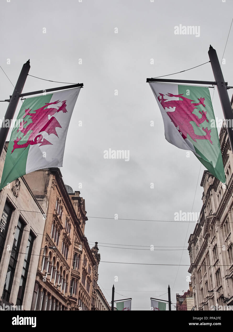 Spring reflection in the main river hi-res stock photography and images ...