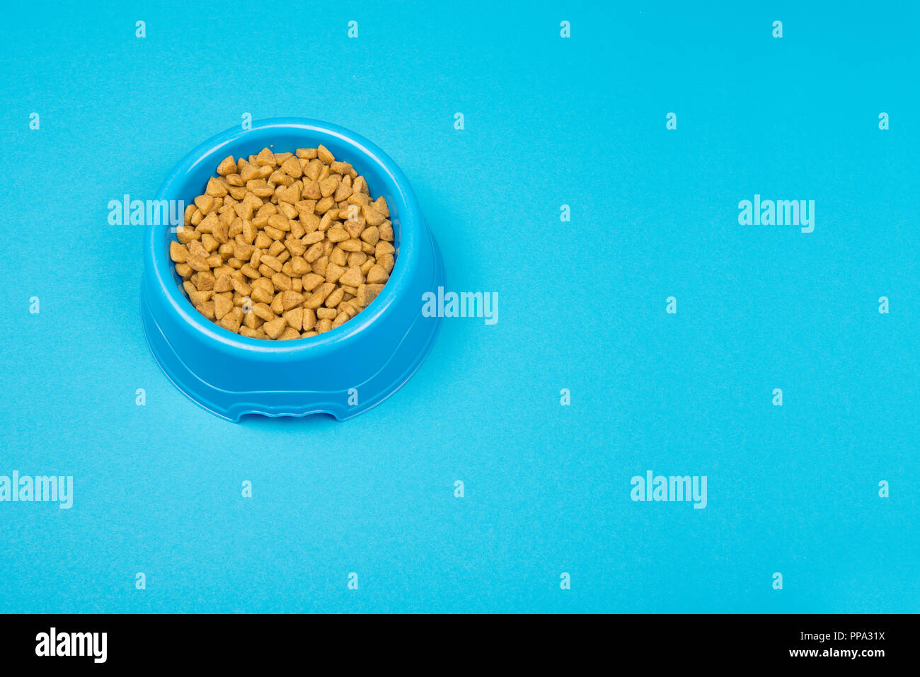 Blue food bowl with cat kibble seen from a high angle view on a blue ...