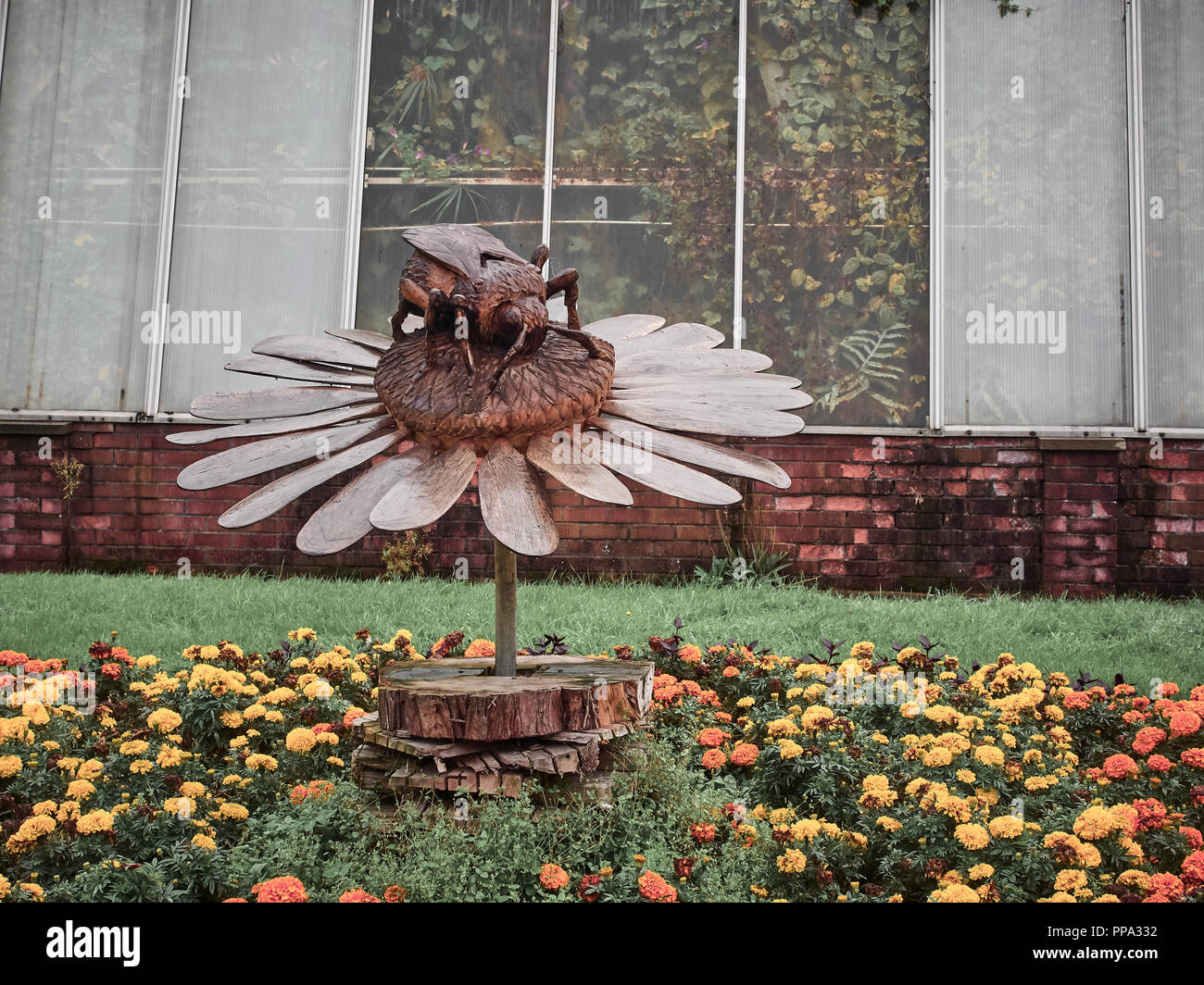 View of some flower of Roath Park in Cardiff Stock Photo - Alamy