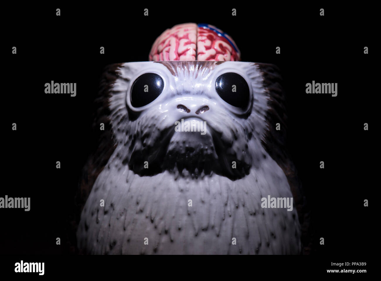 Star wars porg hi-res stock photography and images - Alamy