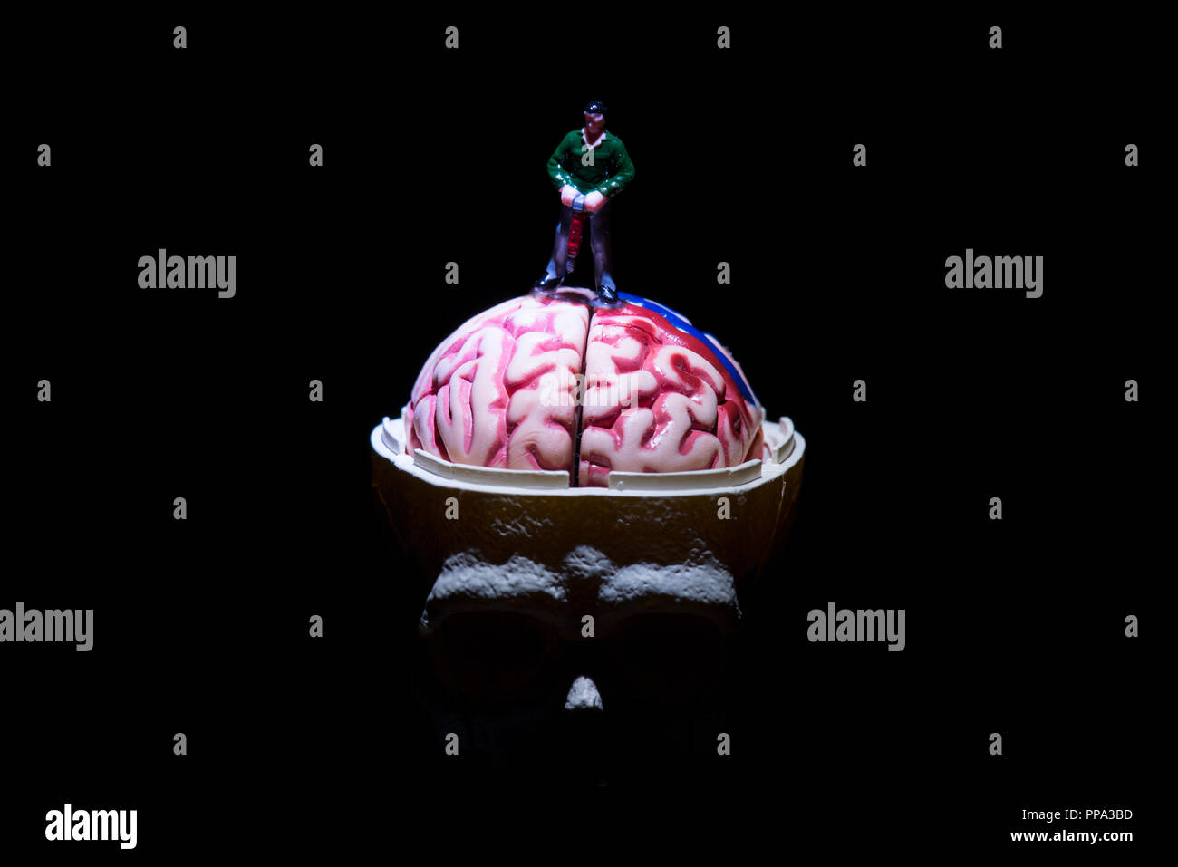Brain worker hi-res stock photography and images - Alamy