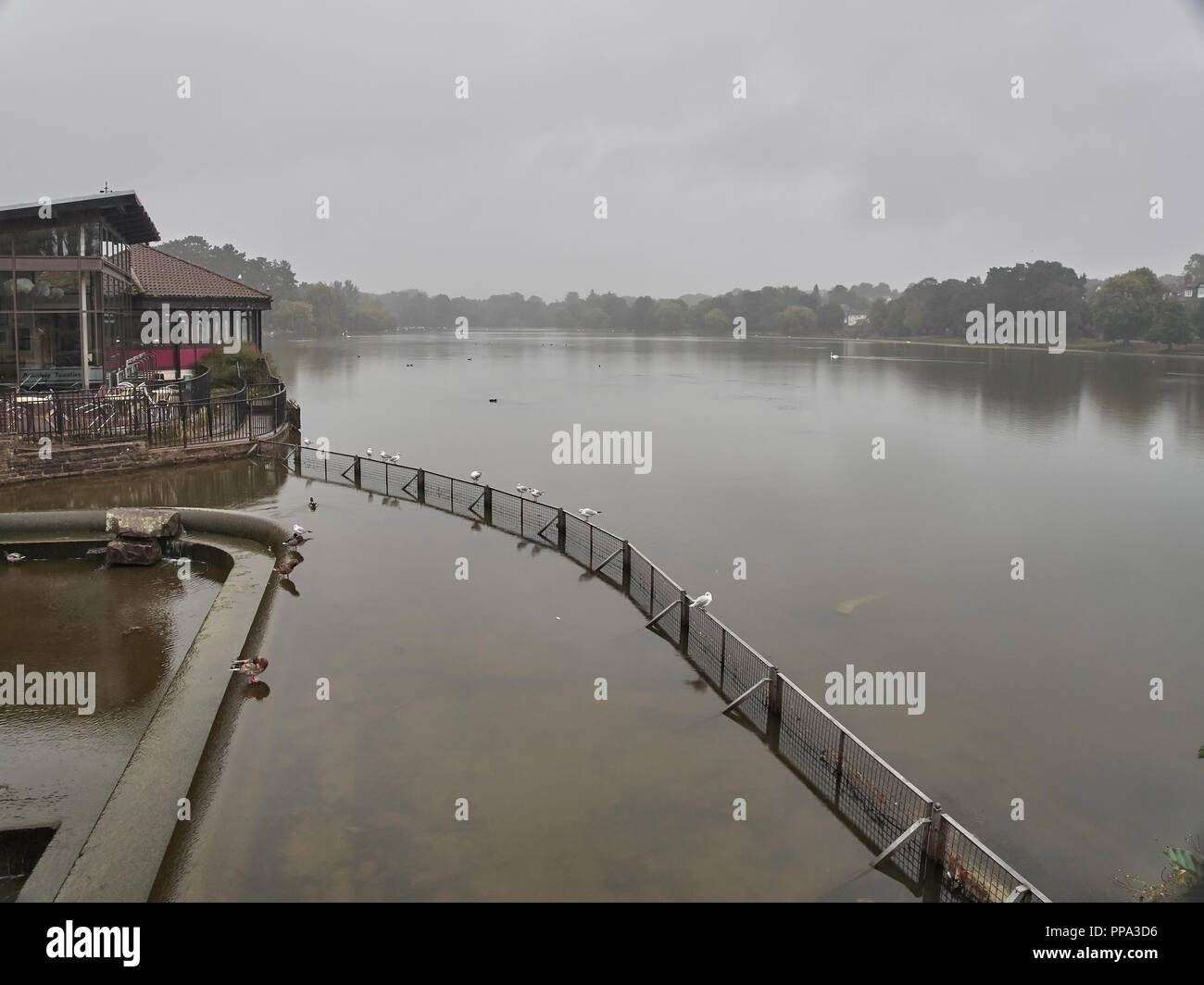 View of Roath Park in Cardiff Stock Photo - Alamy