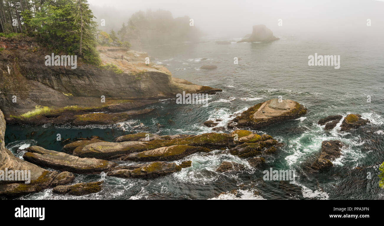 Dramatic rocks at Cape Flattery in fog, Makah Indian Reservation ...